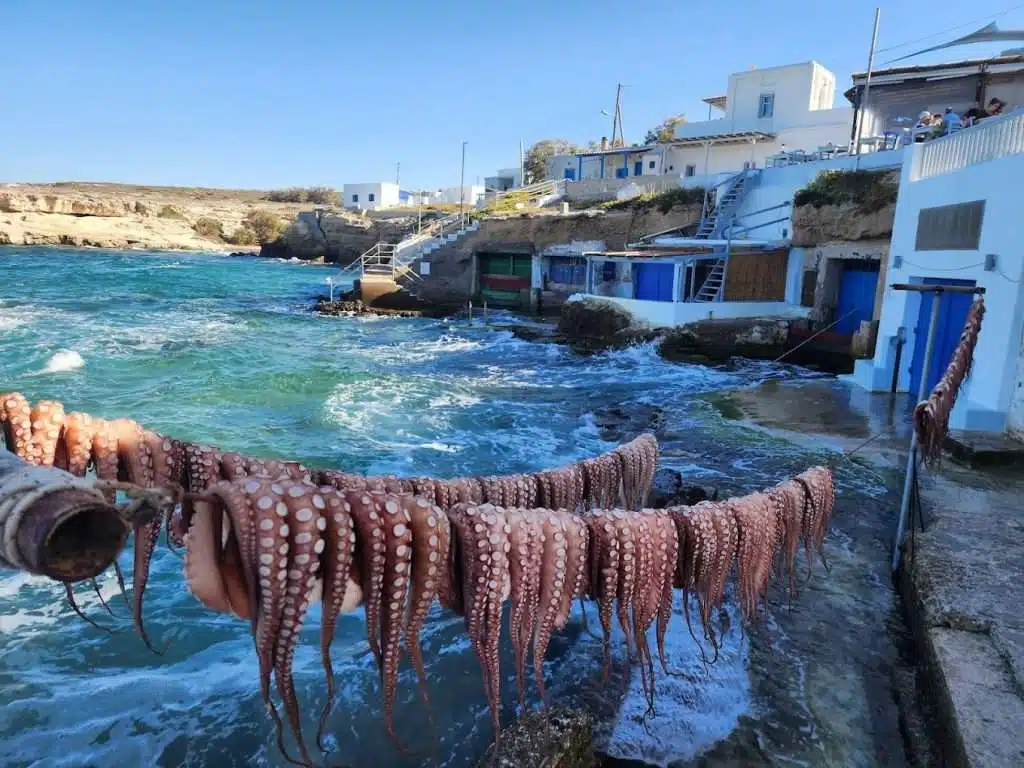 16 Top Restaurants in Milos, Greece: A First Timers Guide To The Best Food