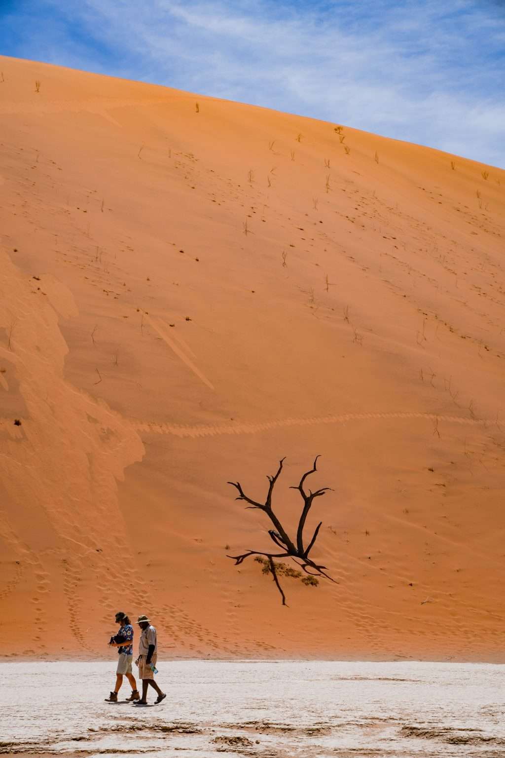 Is Namibia Worth Visiting? 16 Reasons Why You NEED To Visit